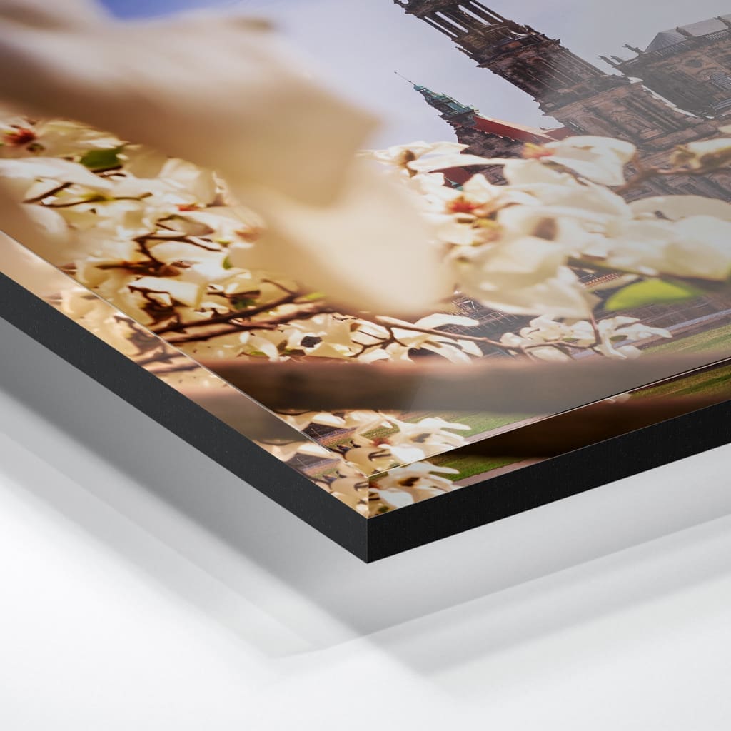 Acryl Board (00601) Hofkirche im Frühling | ddpix.de