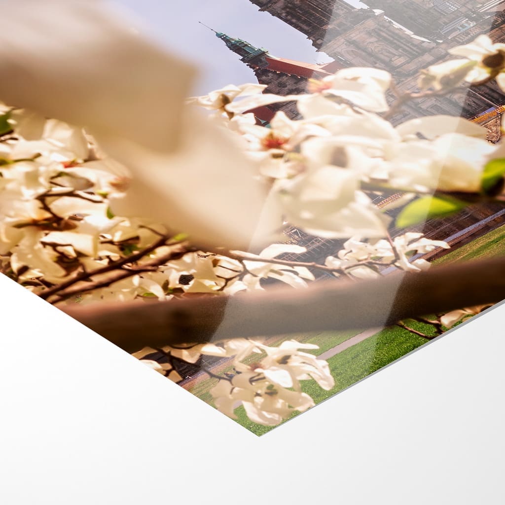 Poster (00601) Hofkirche im Frühling | ddpix.de