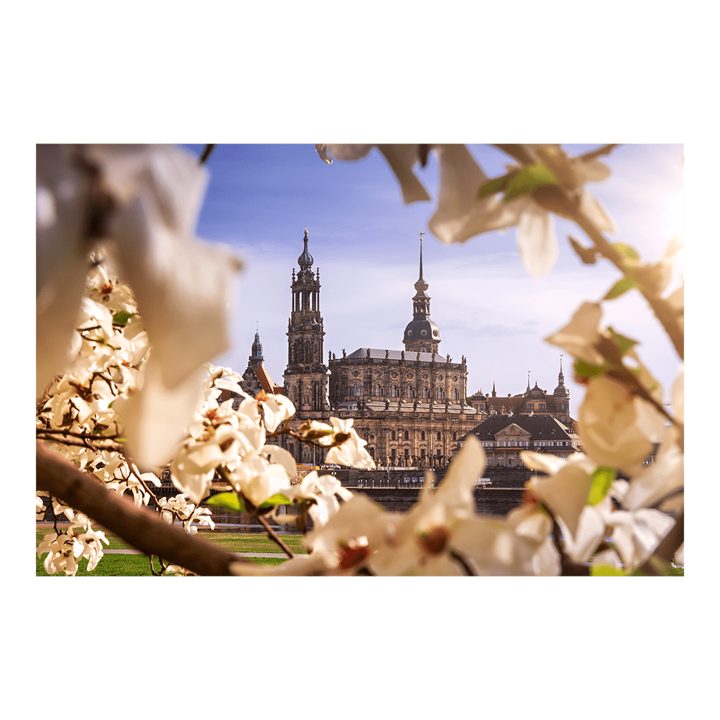 Poster (00601) Hofkirche im Frühling | ddpix.de