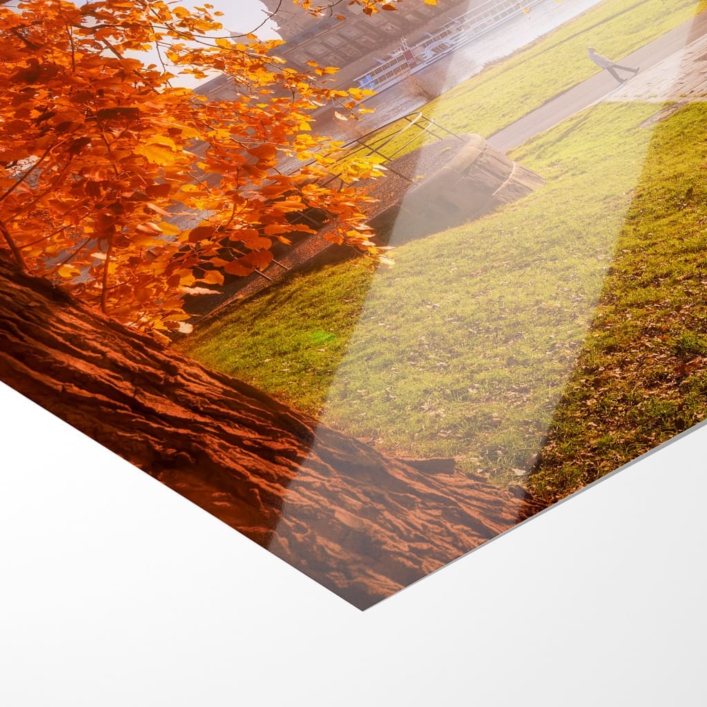 Poster (00638) goldener Herbst in Dresden | ddpix.de