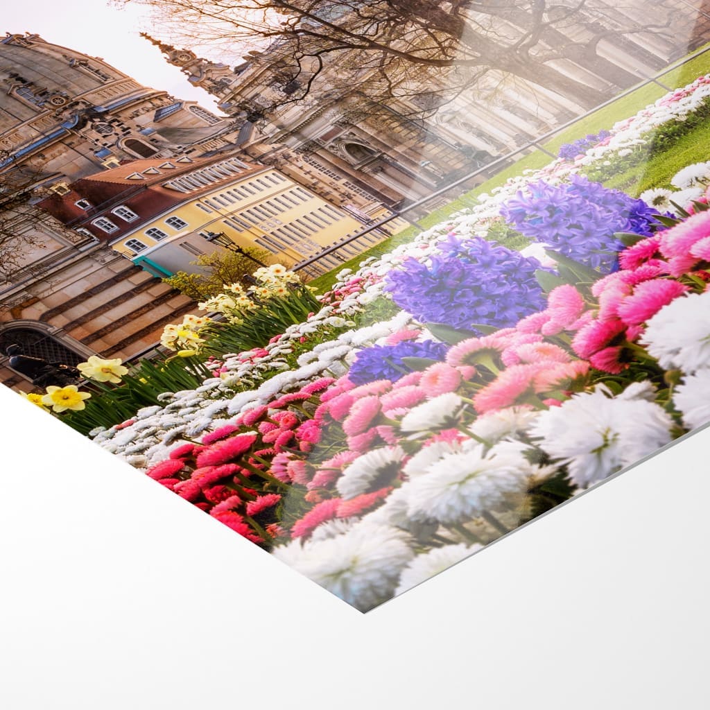 Poster (00689) Brühlscher Garten im Frühling | ddpix.de